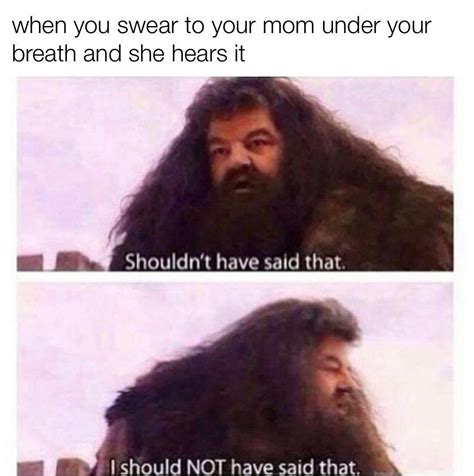 hagrid “should not have said that” r memetemplatesofficial