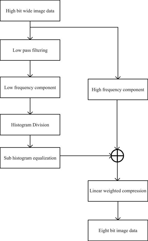 Fine Denoising Process Flow Of Dynamic Image Download Scientific Diagram