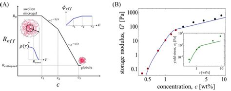 A Our Physical Model Of How Microgel Size And Effective Volume Download Scientific Diagram