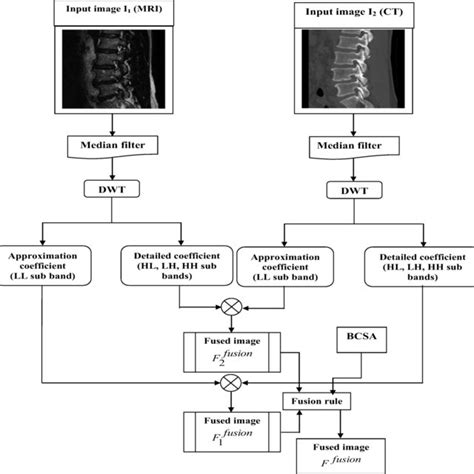 overall concept of proposed multi modality image fusion download