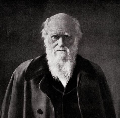 Verschiffung Dili Nach Darwin Jmng