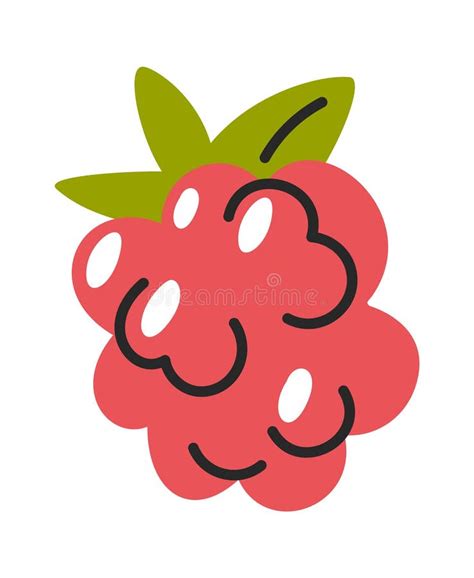 Razas De Frambuesa Ilustración Del Vector Ilustración De Crudo 374767956