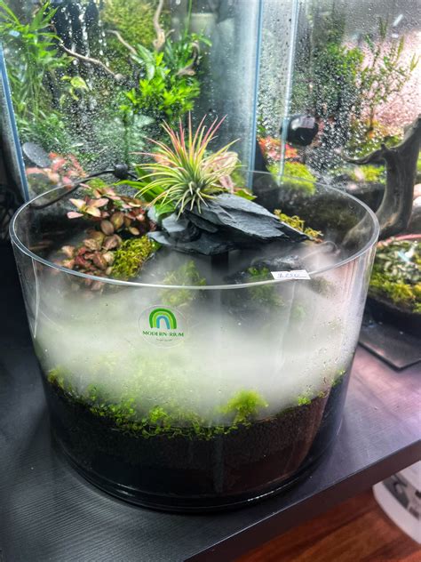 Fog Maker Mister Modernrium