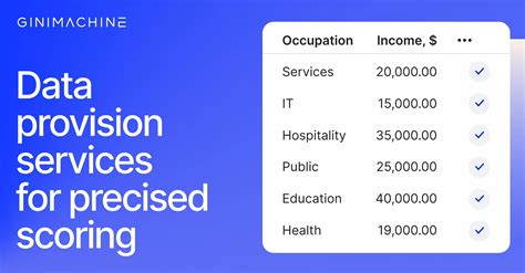 Data Provisioning Services Ginimachine