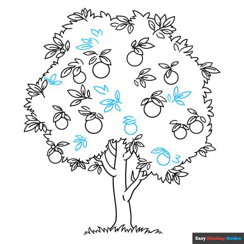 How To Draw An Orange Tree Really Easy Drawing Tutorial