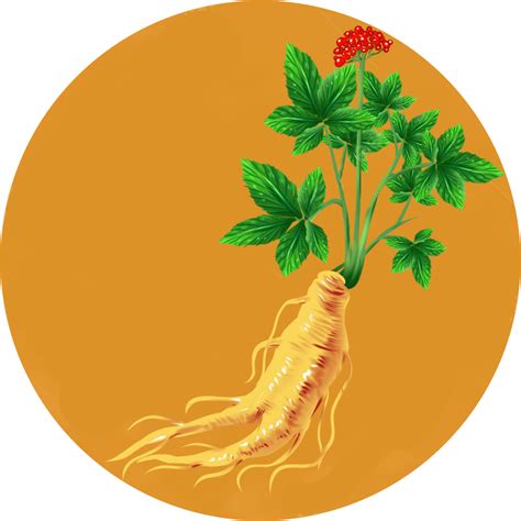 Женьшень и другие 12 лучших мировых брендов ЦАРСТВА ЖИВОЙ ПРИРОДЫ в ...