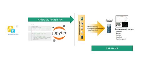Covid 19 Tweets Analysis Using Hana Ml Python Apis Sap Community