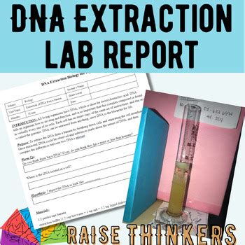 DNA Structure And Function Slides Worksheet And Google Form Bundle