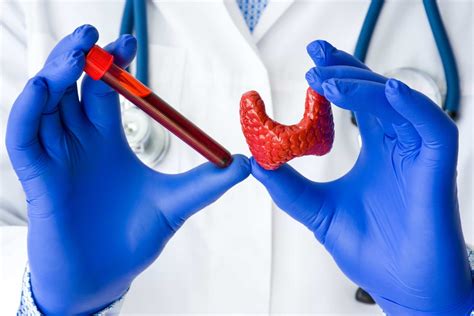 25 Facts About Thyroid Function 25 Facts About Thyroid Function