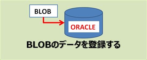 【oracle】ora 12899 列”xxx”の値が大きすぎます実際 5、最大 4の原因と対処方法 カメ助のブログ