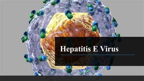 Serological Diagnosis Of Hepatitis Pptx