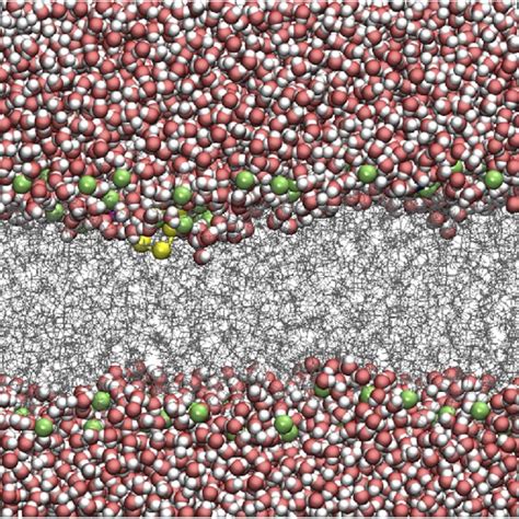 A Snapshot That Shows The Largest Penetration Depth Of Arg3 Yellow At