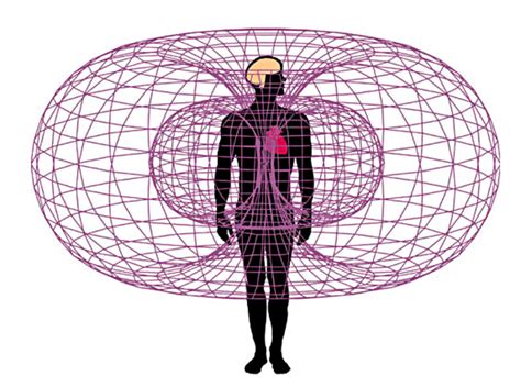 De Penis En De Vagina Dineke Van Kooten