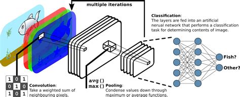 Figure From Automated Identification Of Fish And Other Aquatic Life In Underwater Video