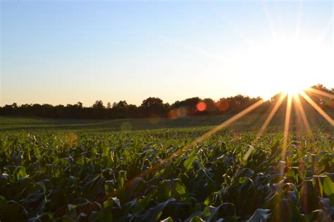 Top 10 Tips To Boost Farm Efficiency Productivity And Yields