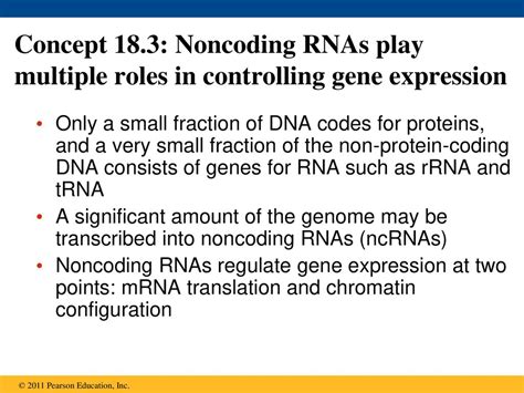 Regulation Of Gene Expression Ppt Download