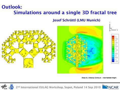 Ppt Modeling Flows Through Canopies With Immersed Boundary Methods