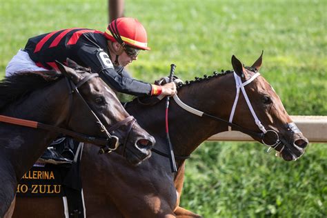 Echo Zulu Outduels Goodnight Olive In Ballerina Handicap
