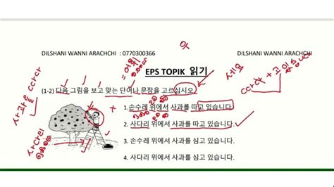 රූප සටහන් කෙටි ප්‍රශ්නයක් සාකච්ඡා කරමු Youtube