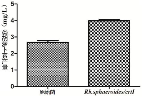 一种提高类球红细菌发酵生产类胡萝卜素产量的方法