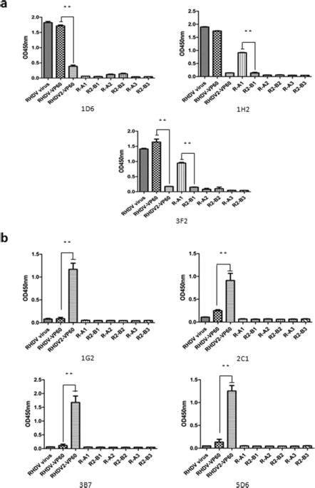 Identification Of Rhdv Type Specific Mabs By Indirect Elisa The Rhdv