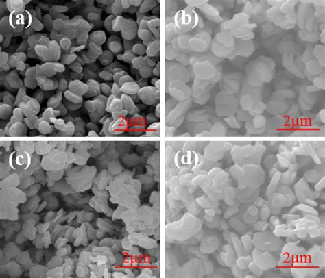 SEM Images Of NCMF A NCMF B NCMF C And NCMF D Download Scientific Diagram