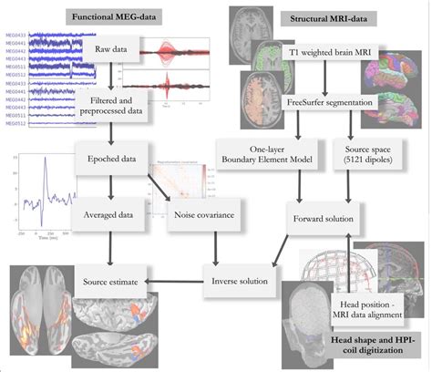 pipeline for meg data pre processing and analysis hpi head position