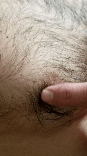 Topharddick Nipples