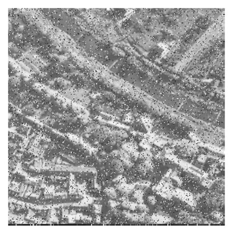 Noise Attack Analysis A B C The Noisy Encrypted Images By Spn With Download Scientific