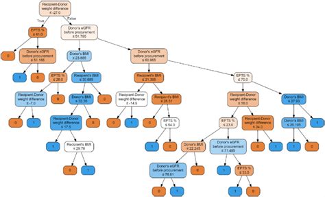 Random Forest Classifier With Five Input Features Donor S BMI Donor S Download Scientific