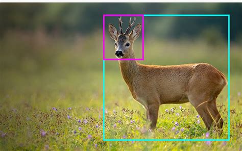 Analyze Image Data With Image Recognition Arineo Gmbh