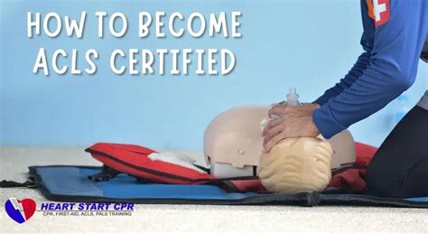 Aha Vs Red Cross Cpr Certification Which Is Certification Better For You