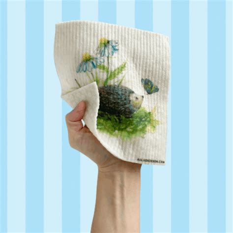 Swedish Dish Cloth Uses Reusable Dish Cloth Magic — Alla Dickson Art