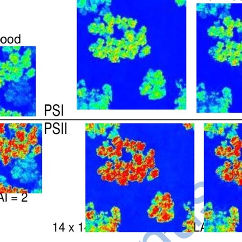 Flowchart Outlining Retrieval Of Vegetation Parameters From Remote
