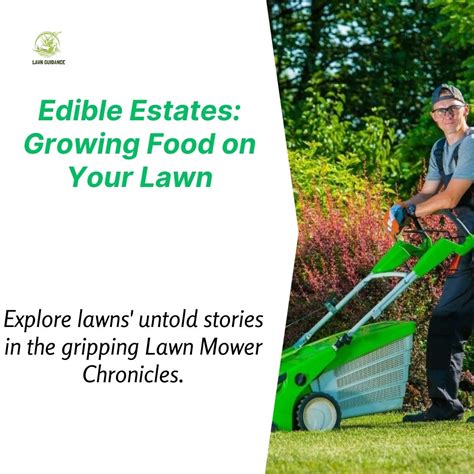 Growing food on your lawn - James M. Chew - Medium
