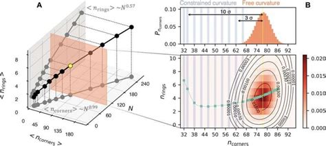 new algorithms inspired by quantum computing for simulating polymeric