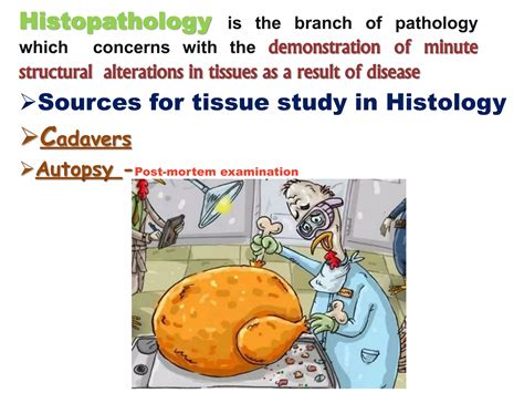 Histopathological Techniques Sectioning Staining Embedding Fixaton