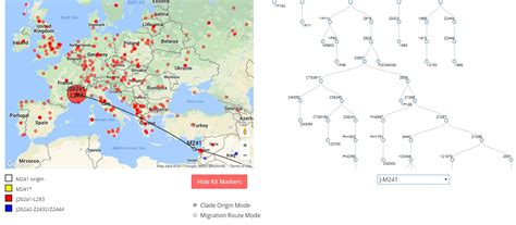 phylogeographer discover the path of your ancestors