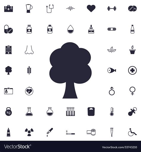 Tree Icon Royalty Free Vector Image Vectorstock