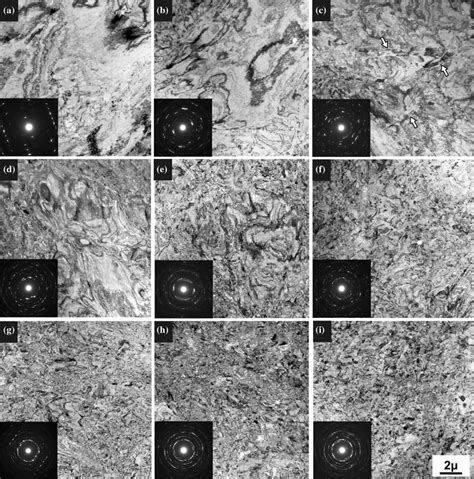Representative Microstructures Of The Cp Ti Samples Processed Under