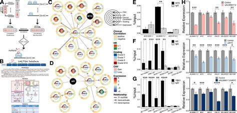 Long Noncoding Rnas Interacting With The Prognostic Signature Download Scientific Diagram