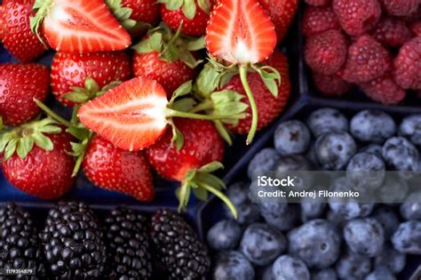단단한 콘크리트 배경에 별도의 접시에 딸기 라즈베리 블루 베리 블랙 베리 건강한 식습관 비건 음식 높은 다이어트 식품 건강한 식생활에 대한 스톡 사진 및 기타 이미지