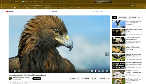 Equipos Databyte Computadores Medellín