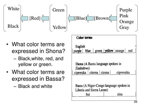 Ppt Color Categorization And Language Powerpoint Presentation Free Download Id2685542