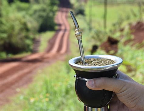El Mate Cumple Una Década Como Infusión Nacional