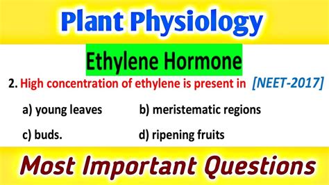 Plant Structure And Function Mcqs At Abigail Lester Blog