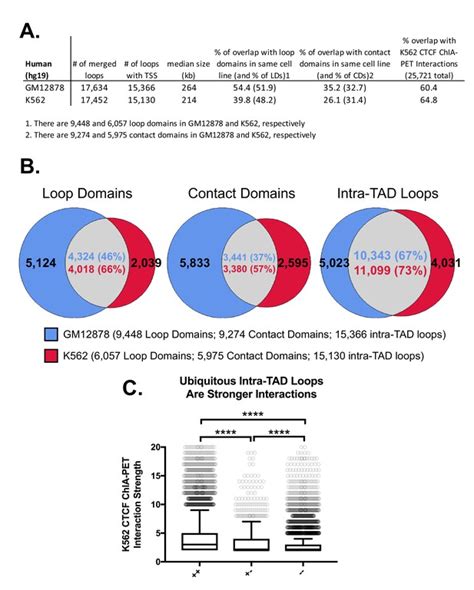 Figures And Data In Computational Prediction Of Ctcfcohesin Based Intra Tad Loops That Insulate