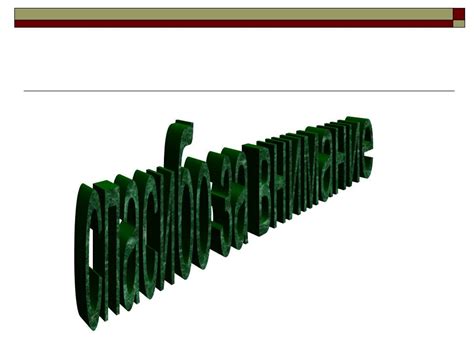 Корень растения 3 класс Презентации по окружающему миру