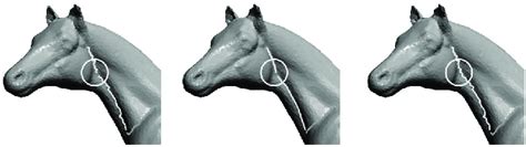 Connecting Small Contours Left Having Similar Major Directions After