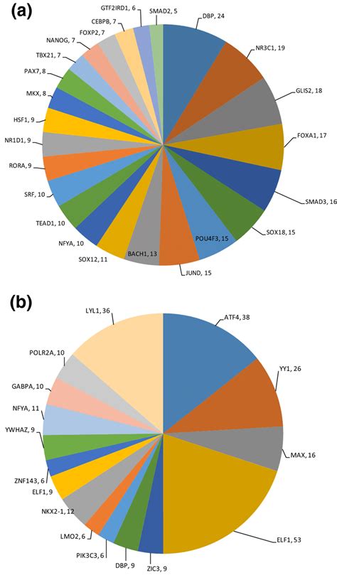 A Tfs With Associated Upregulated Target Genes In Cfs B Tfs With